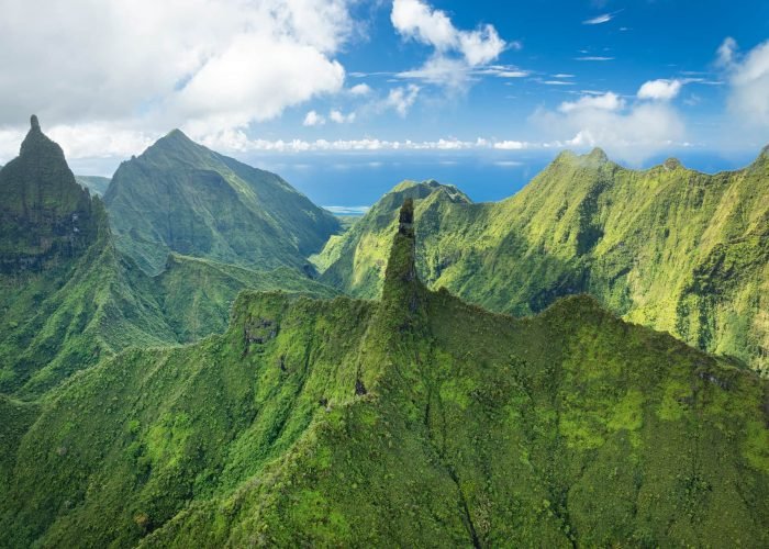 La Tiare Tahiti : emblème parfumé de la Polynésie